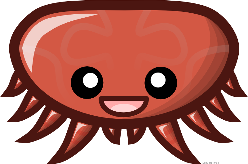 Warroza - jak z nią walczyć? – Pszczeli Azyl